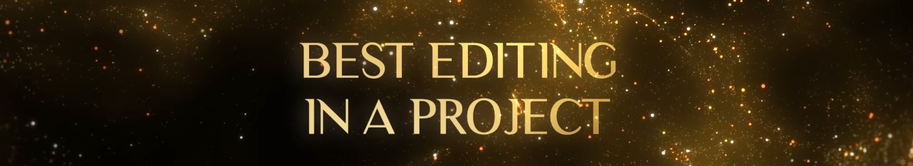 Best Editing in a Project Winner - ParkCrafters Awards 2026 - Winners ...